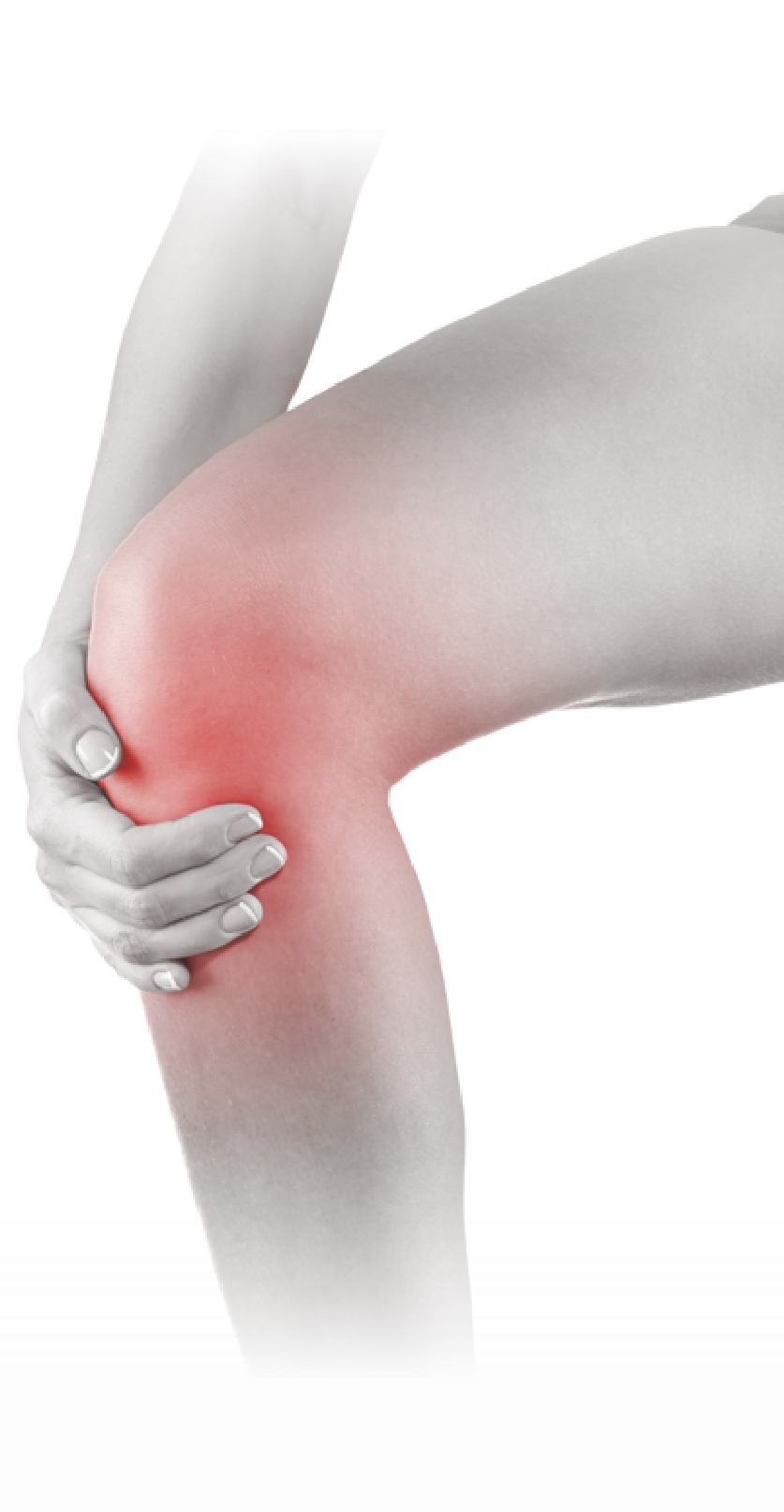 genoux-douleur - APEX-ISAST